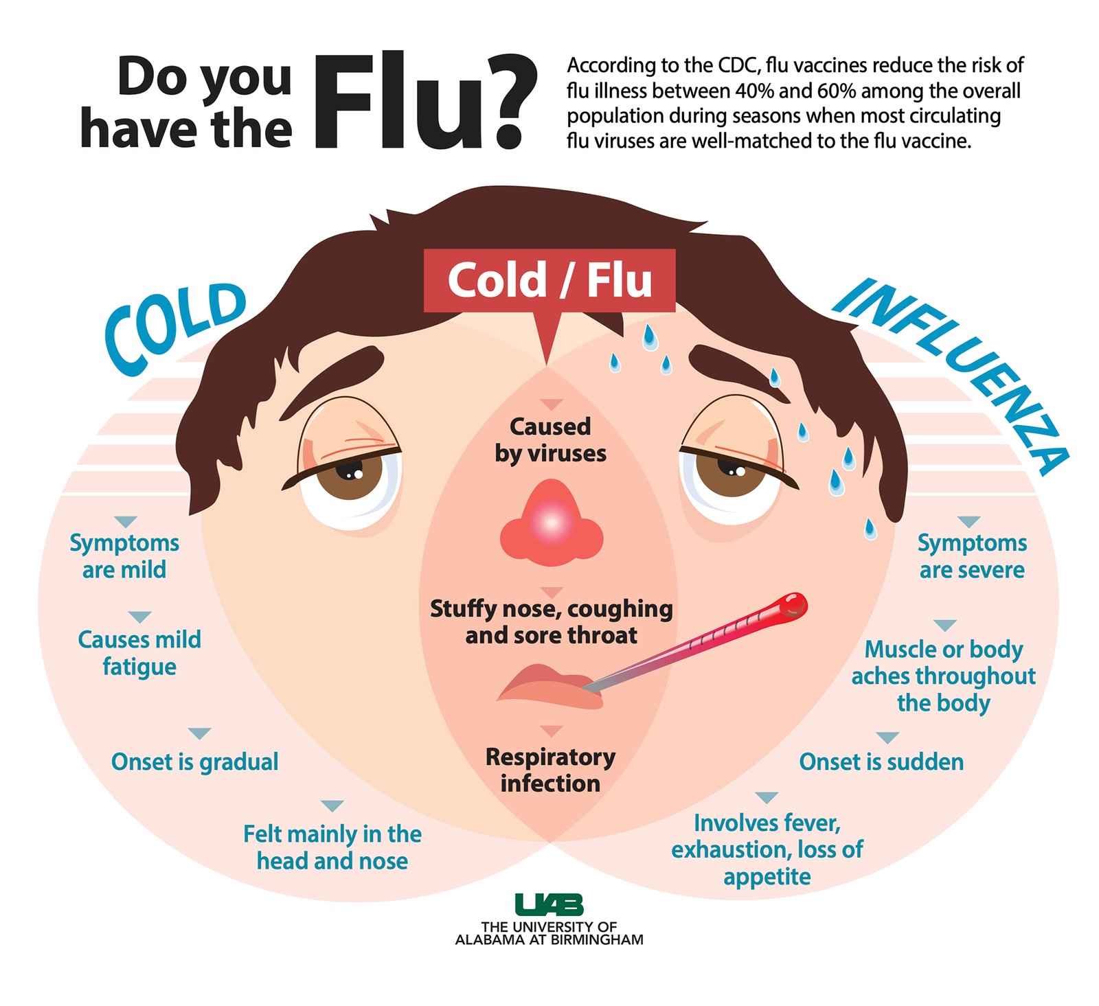 Cold or Flu? How to Identify and Treat Each - Homeremedy